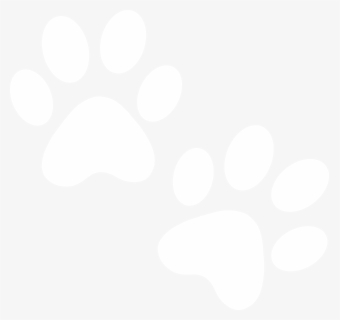Download Pawprint - White Paw Print Transparent Background - ClipartKey