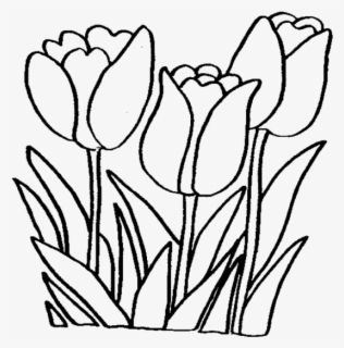 Flowers Color Clipart Bunga - Flowers Coloring Pages Printable , Free ...