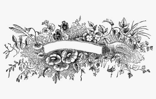 Banner Clipart Fancy - Transparent Fancy Border Png , Free Transparent ...