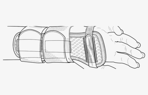 Hand And Wrist Bones Unlabeled , Free Transparent Clipart - ClipartKey