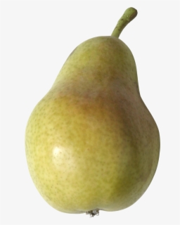 Pear Tree Png Translucent - Png Pear , Free Transparent Clipart ...