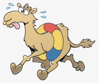 Cartoon Camel Running , Free Transparent Clipart - ClipartKey