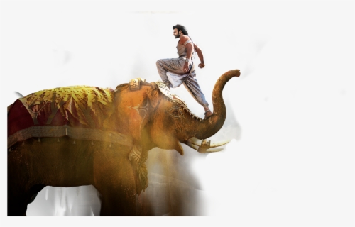 Transparent Indian Elephant Png - Bahubali Ramoji Film City , Free ...
