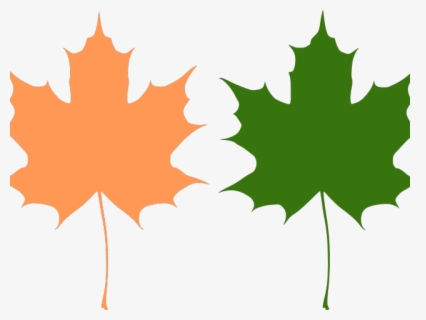 Green Leaf Clipart Green Maple Leaves Clipart Clip - Clip Art Green ...