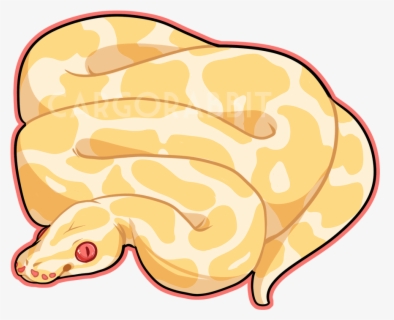 Burmese Python Vector Drawing , Free Transparent Clipart - ClipartKey