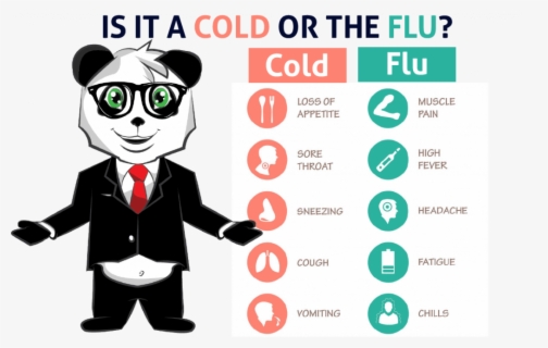 Flu Bug 2019 , Free Transparent Clipart - ClipartKey