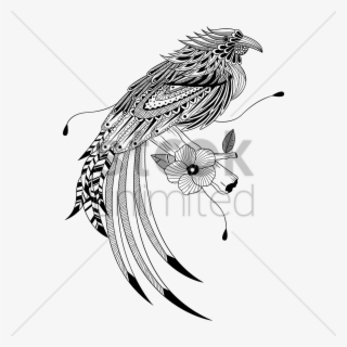 Bird, Feather, Drawing, Transparent Png Image Clipart - Bird Design ...
