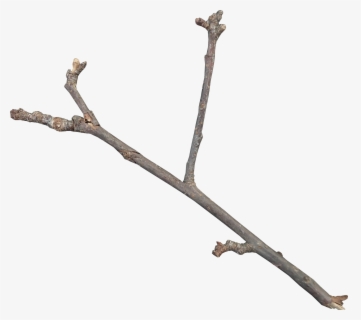 Twig Download Icon - Twigs Png , Free Transparent Clipart - ClipartKey