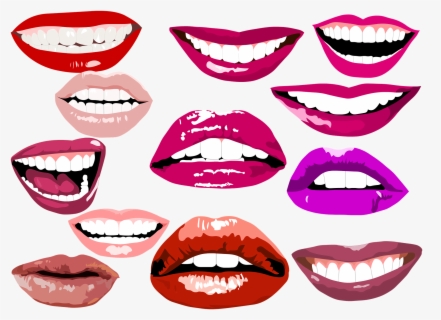 Clip Art Images Of Canine Teeth - Different Types Of Teeth And Their ...
