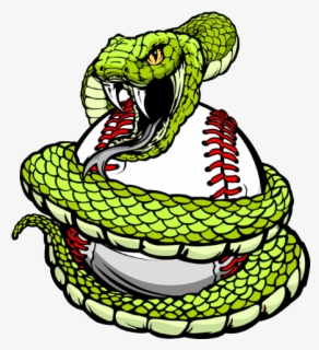Snake With Baseball Clipart - Pale Yellow Snake , Free Transparent ...
