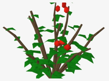 Free Rose Bush Clip Art with No Background - ClipartKey