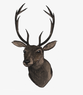 Browning Deer Head Logo Clipart - Browning Deer Logo , Free Transparent ...