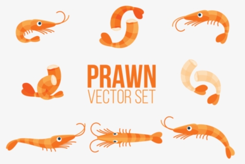Seafood Clipart Prawn - Diagram Of Shrimp , Free Transparent Clipart ...