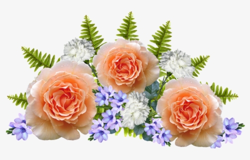 Flower On Transparent Background Flora - Hybrid Tea Rose , Free ...