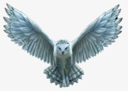 Hedwig Png , Free Transparent Clipart - ClipartKey