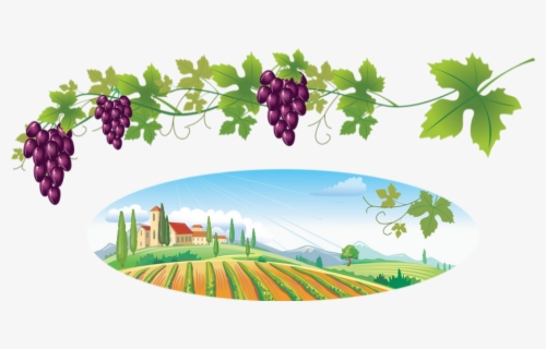 Vigne Png , Free Transparent Clipart - ClipartKey