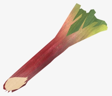 Rhubarb Png Pic - Rhubarb Drawing Transparent Background , Free ...