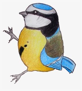 Flightless Bird , Free Transparent Clipart - ClipartKey