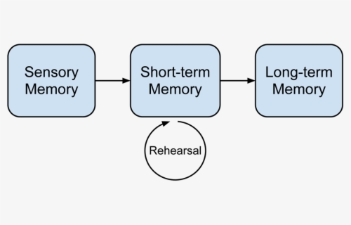 3 Memory Types Ctml - Memory Information Processing , Free Transparent ...