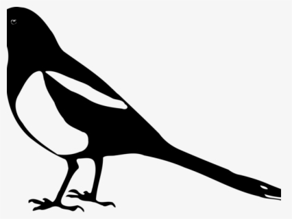 Download Magpie Clipart Transparent - Magpie Clipart Transparent ...