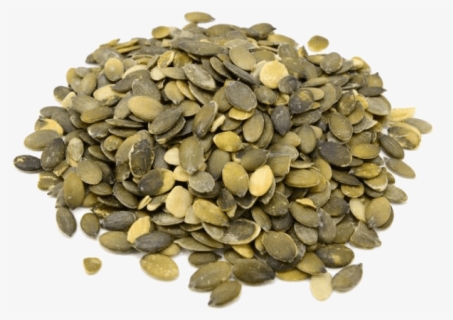Pumpkin Seeds Png - Transparent Background Pumpkin Seeds Png , Free ...