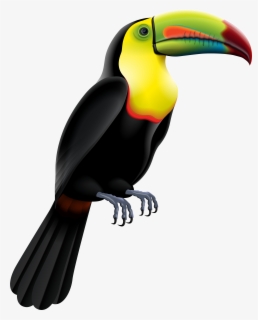 Dead Clipart Sparrow - Dead Blue Bird Cartoon , Free Transparent ...