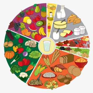 Cartoon Food Wheel , Free Transparent Clipart - ClipartKey