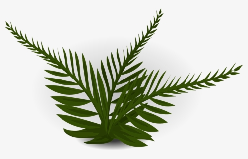 Transparent Fern Clipart - Rainforest Plants With No Background , Free ...