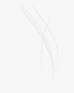 Swoosh Effect Png - Circle , Free Transparent Clipart - ClipartKey