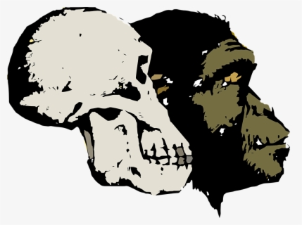Human Evolution Vector , Free Transparent Clipart - ClipartKey
