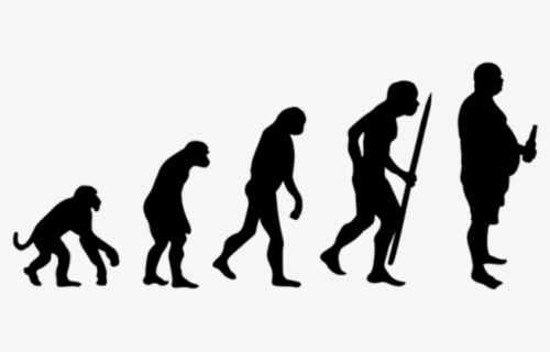 Evolution Of Man , Free Transparent Clipart - ClipartKey