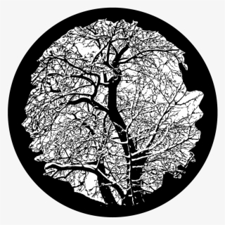 Apollo Mature Tree - Gobo Tree , Free Transparent Clipart - ClipartKey