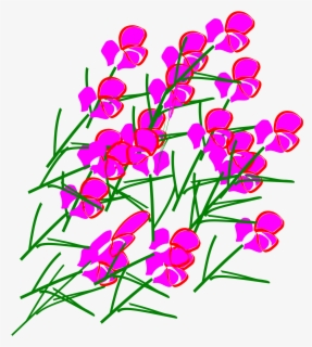 Botanical Clip Arts - Illustration , Free Transparent Clipart - ClipartKey