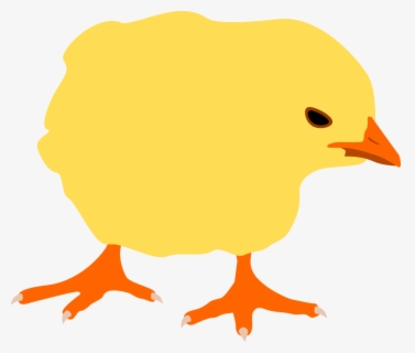 Clip Art Chicken Clip - Yellow Chicken Clipart , Free Transparent ...