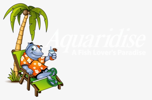 Aquarium Clipart Fish House - Cartoon , Free Transparent Clipart ...