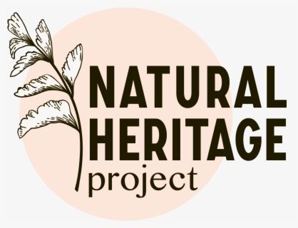 Nhp Logo - Illustration , Free Transparent Clipart - ClipartKey