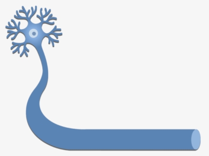 An Image Showing An Axon Of A Neuron Myelinated By - Myelin Sheath On ...