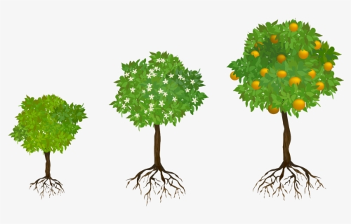 Trees Growing , Free Transparent Clipart - ClipartKey