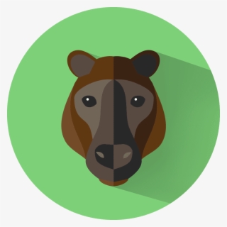 Tree-kangaroo - Cartoon , Free Transparent Clipart - ClipartKey