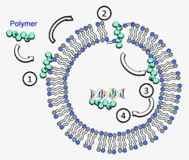 Svg Free Stock Ibm Lab Designs Molecule - Circle , Free Transparent ...