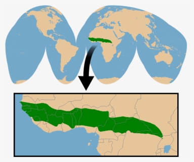 World Map Png - Map Of The World Unlabelled , Free Transparent Clipart ...