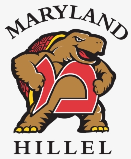 University Of Maryland Logo Png , Free Transparent Clipart - ClipartKey