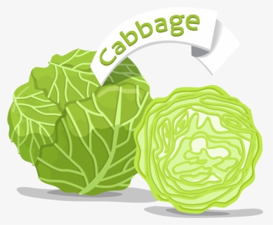 Purple Cabbage Cartoon Png , Free Transparent Clipart - ClipartKey