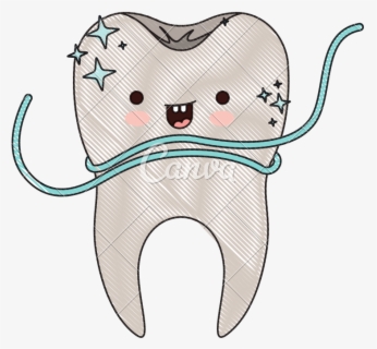 Free Tooth With Root Clip Art with No Background - ClipartKey
