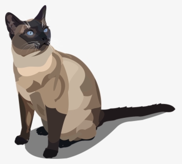 Free Siamese Cat Clip Art with No Background - ClipartKey