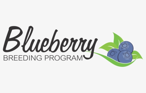 Transparent Berry Bush Png , Free Transparent Clipart - ClipartKey