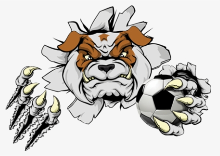 Wildcat Ripping Through Wall , Free Transparent Clipart - ClipartKey