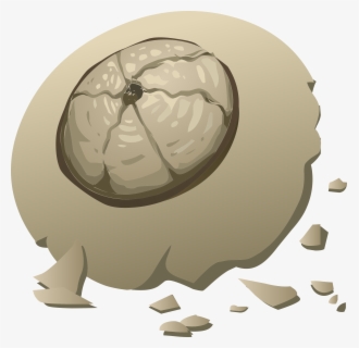 Clip Art Barnacles Images - Transparent Barnacles , Free Transparent ...