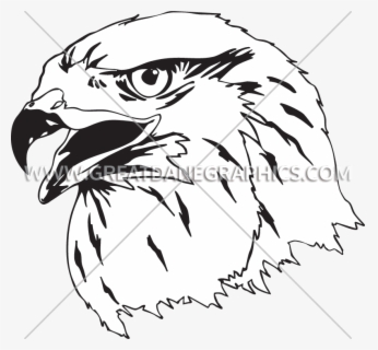Falcon Head Logo Png , Free Transparent Clipart - ClipartKey
