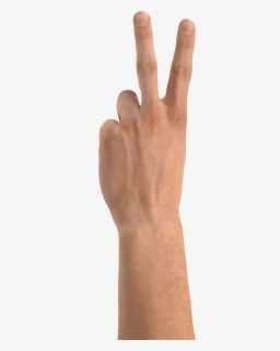 Free Hands Clip Art with No Background - ClipartKey